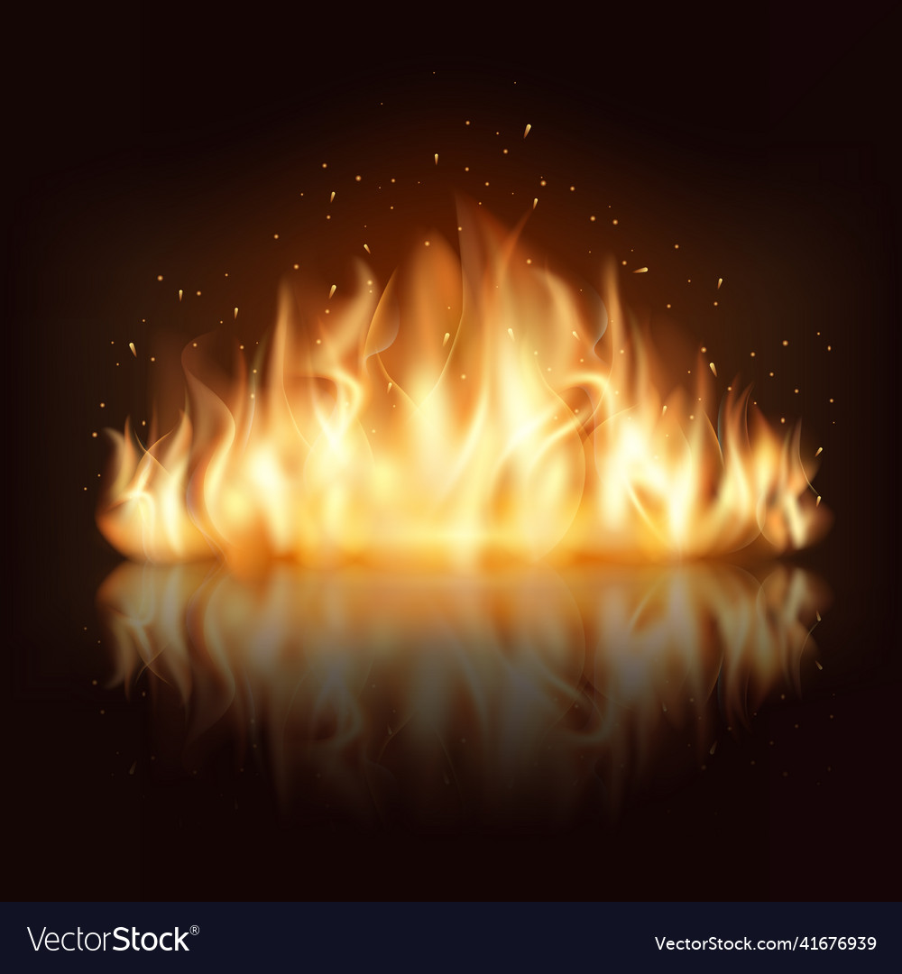 Burning fire flame Royalty Free Vector Image - VectorStock