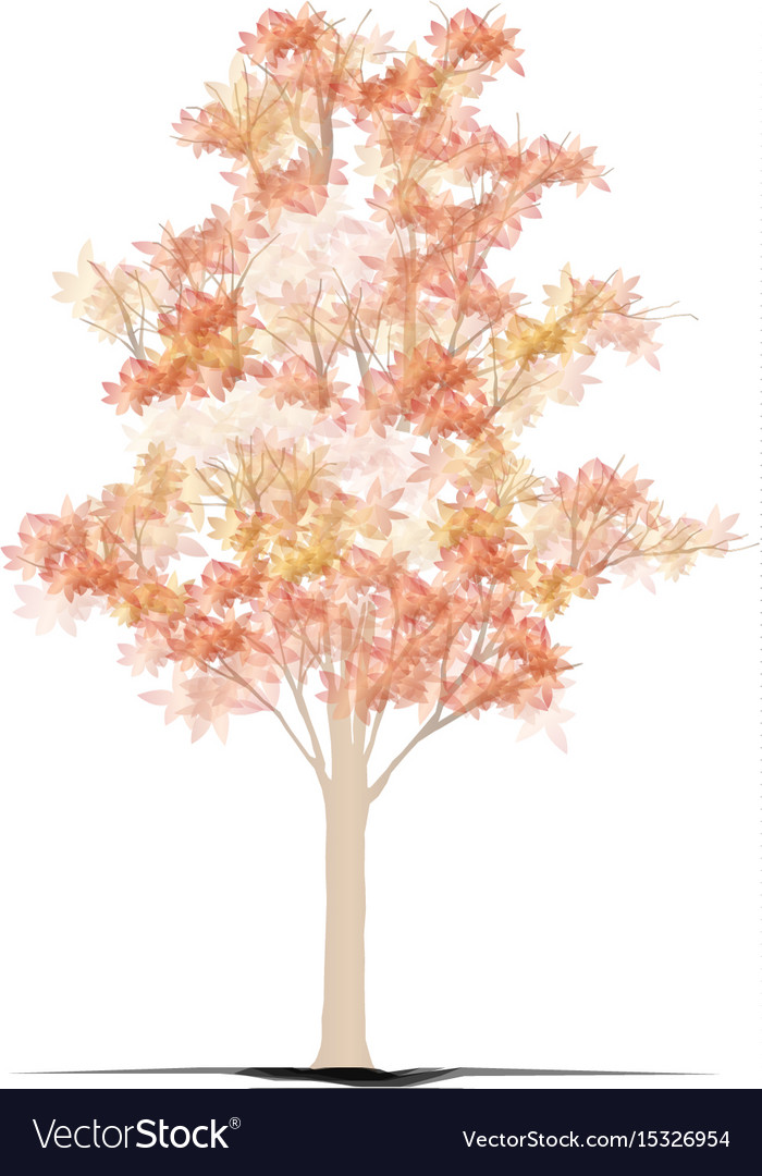 Autumn tree Royalty Free Vector Image - VectorStock