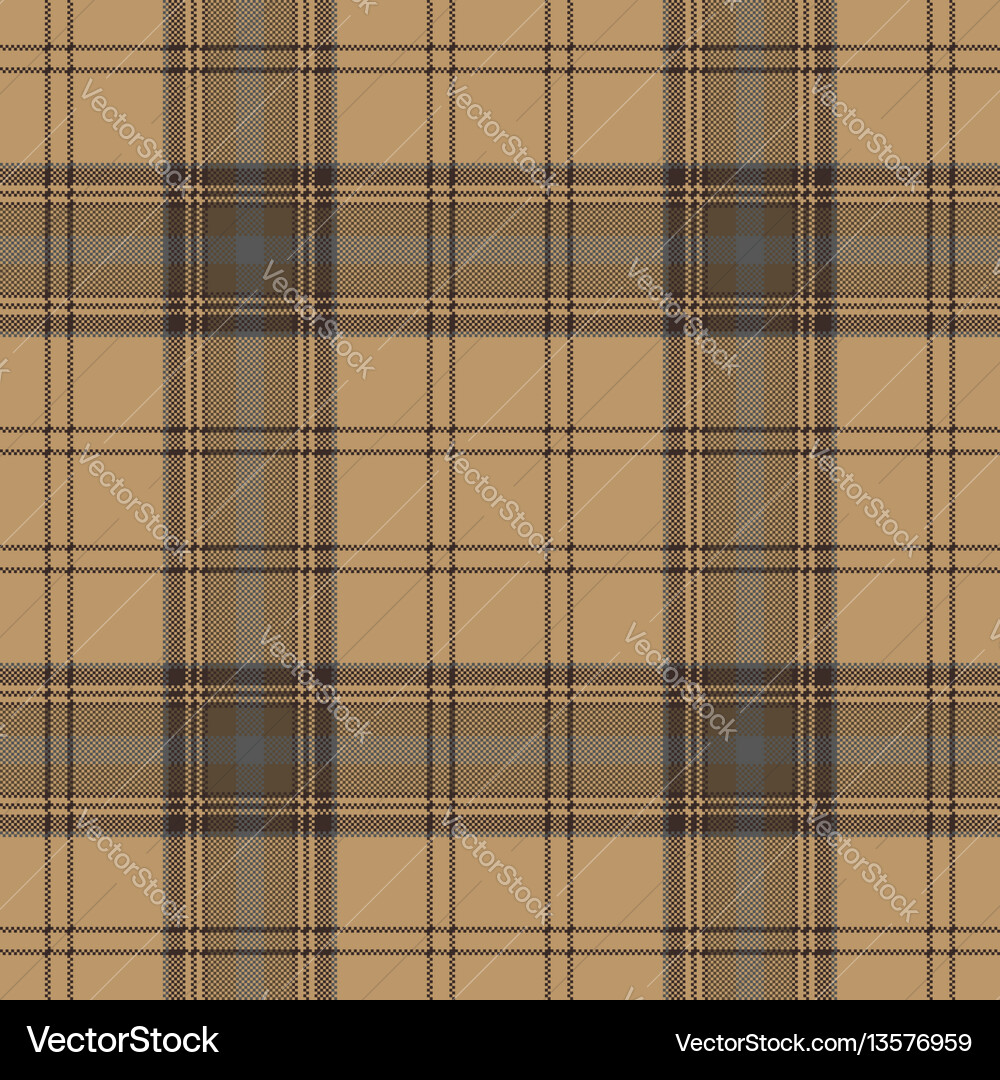 Brown Tartan Check Pattern Royalty Free Vector Image