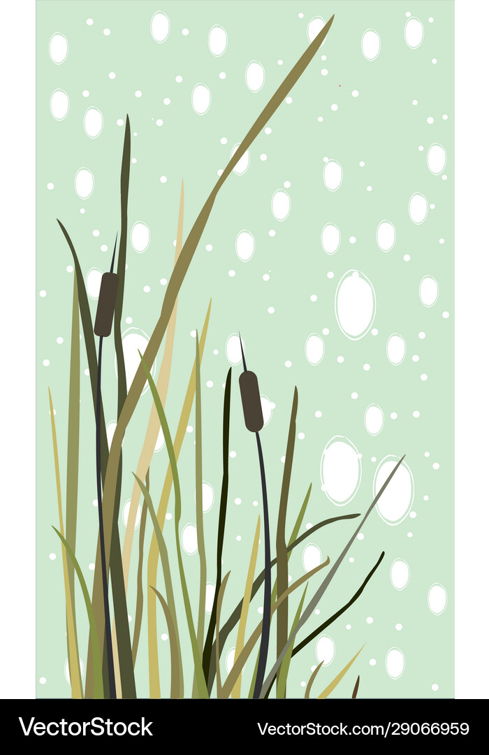 Bush swamp reed on a lake Royalty Free Vector Image