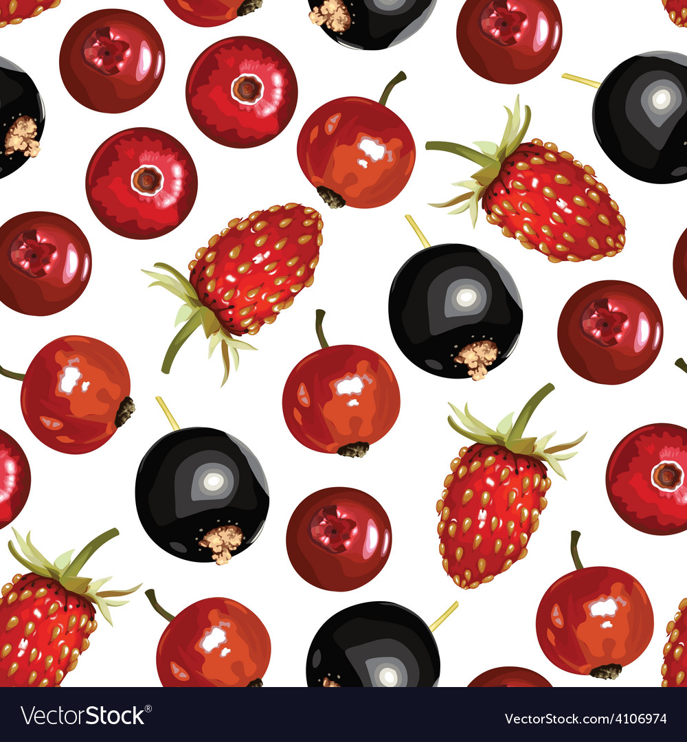 Berry pattern Royalty Free Vector Image - VectorStock