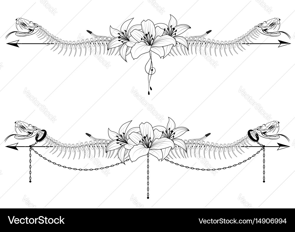 Dividers with snake and lily Royalty Free Vector Image