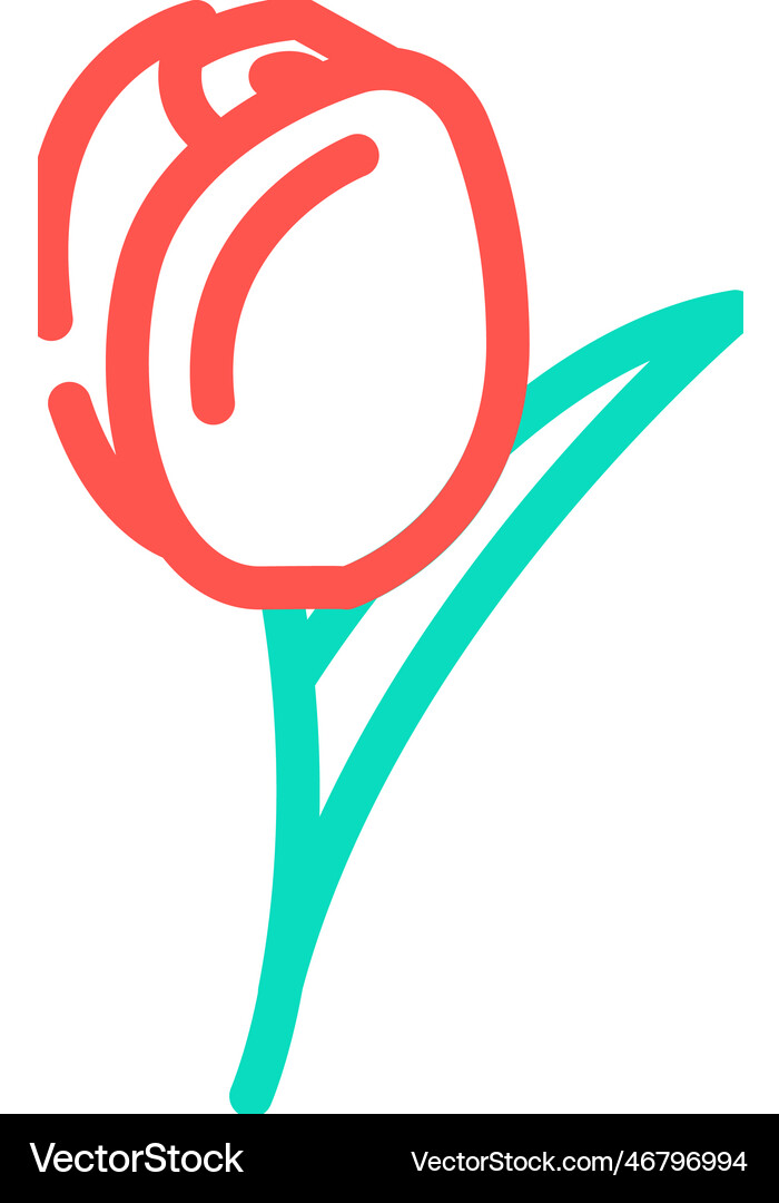 Tulip blossom spring color icon Royalty Free Vector Image