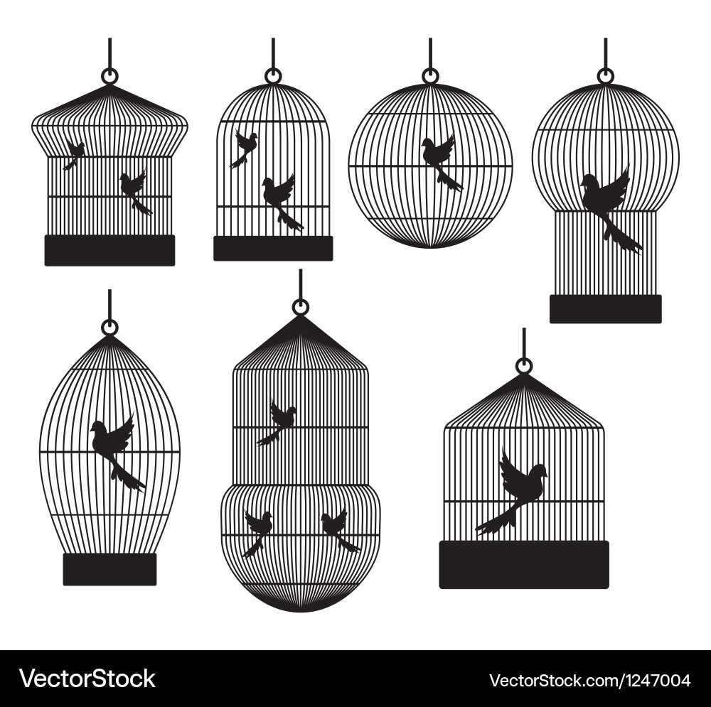 Birds in cages Royalty Free Vector Image - VectorStock