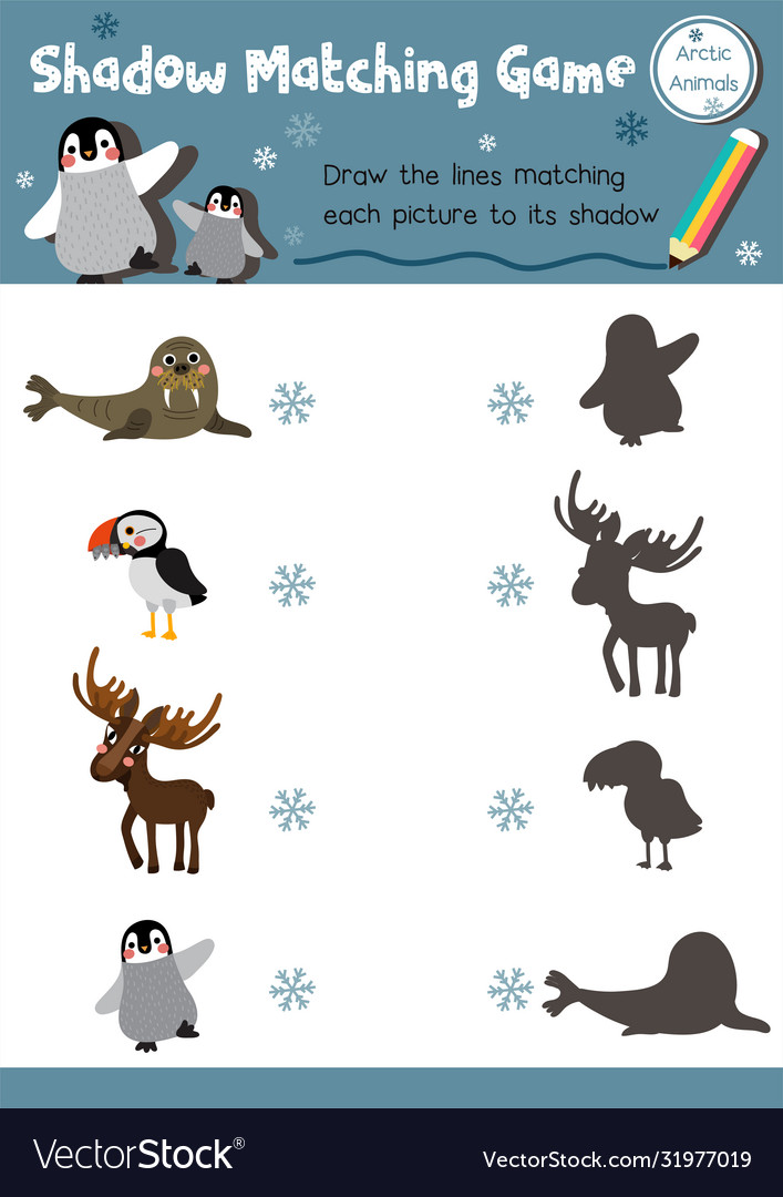 Shadow matching game arctic animal Royalty Free Vector Image Shadow matching game arctic animal Royalty Free Vector Image