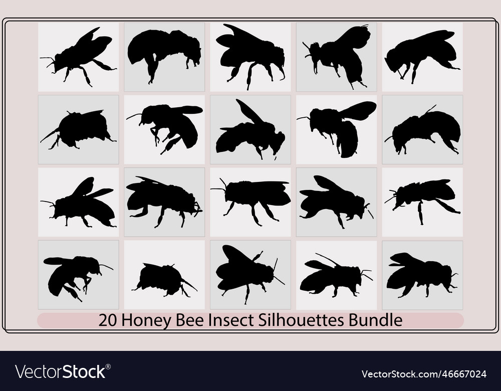 Honeybee silhouettes clipart collectionbee icon Vector Image Honeybee silhouettes clipart collectionbee icon Vector Image