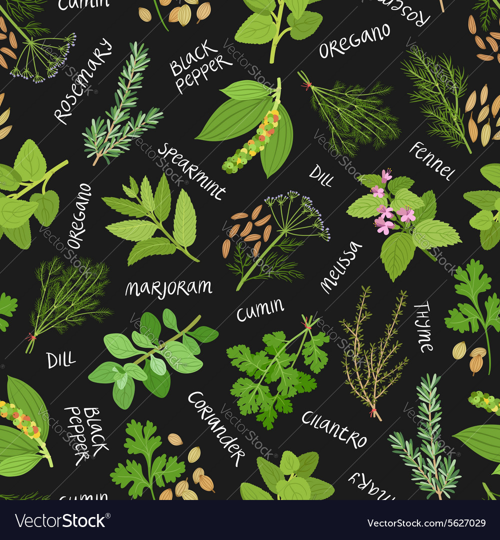 Herbs and spices seamless pattern on black Vector Image