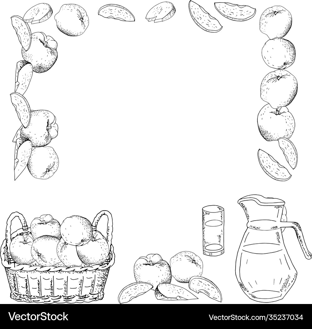 Square template with apples apple slices hand Vector Image