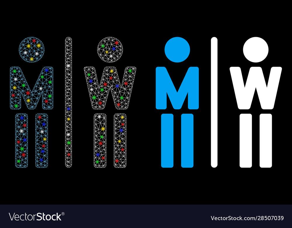 Flare Mesh Wire Frame Wc Persons Icon With Vector Image