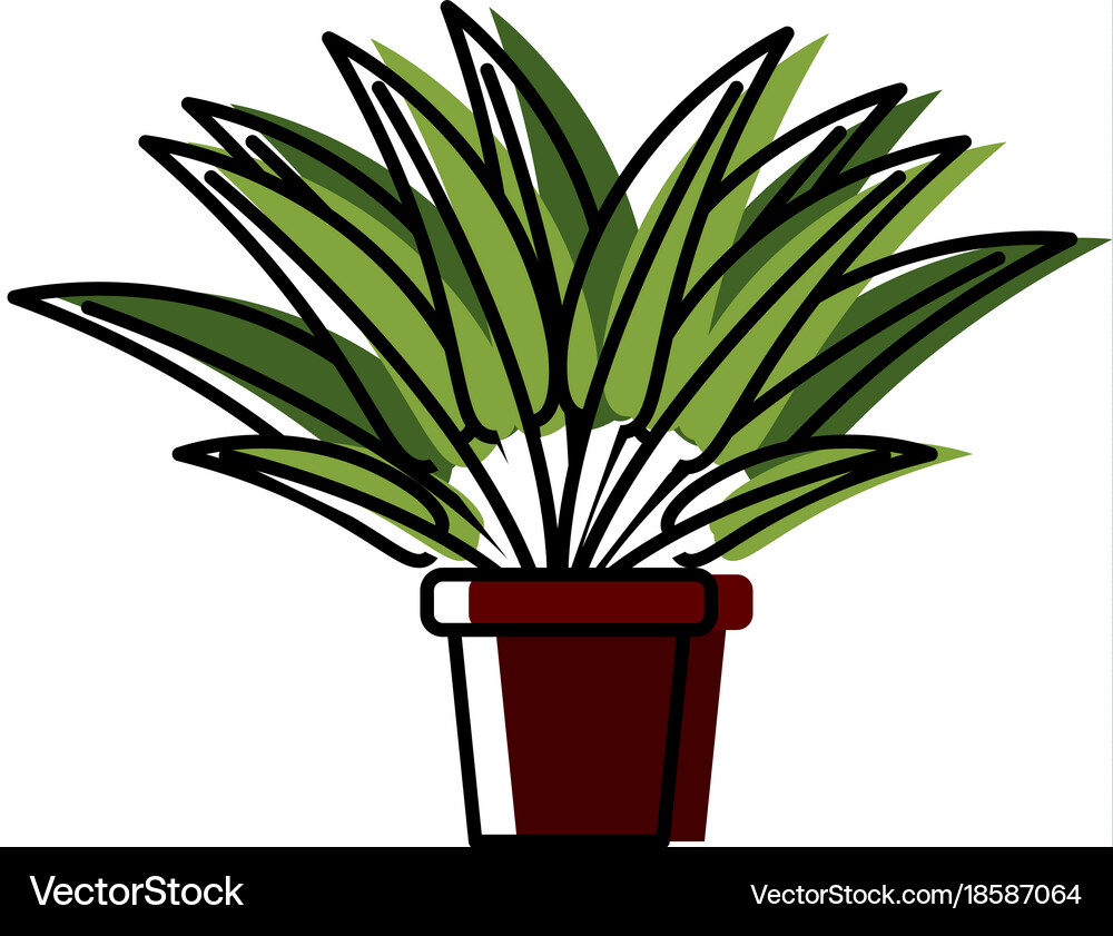 Plant in vase Royalty Free Vector Image - VectorStock