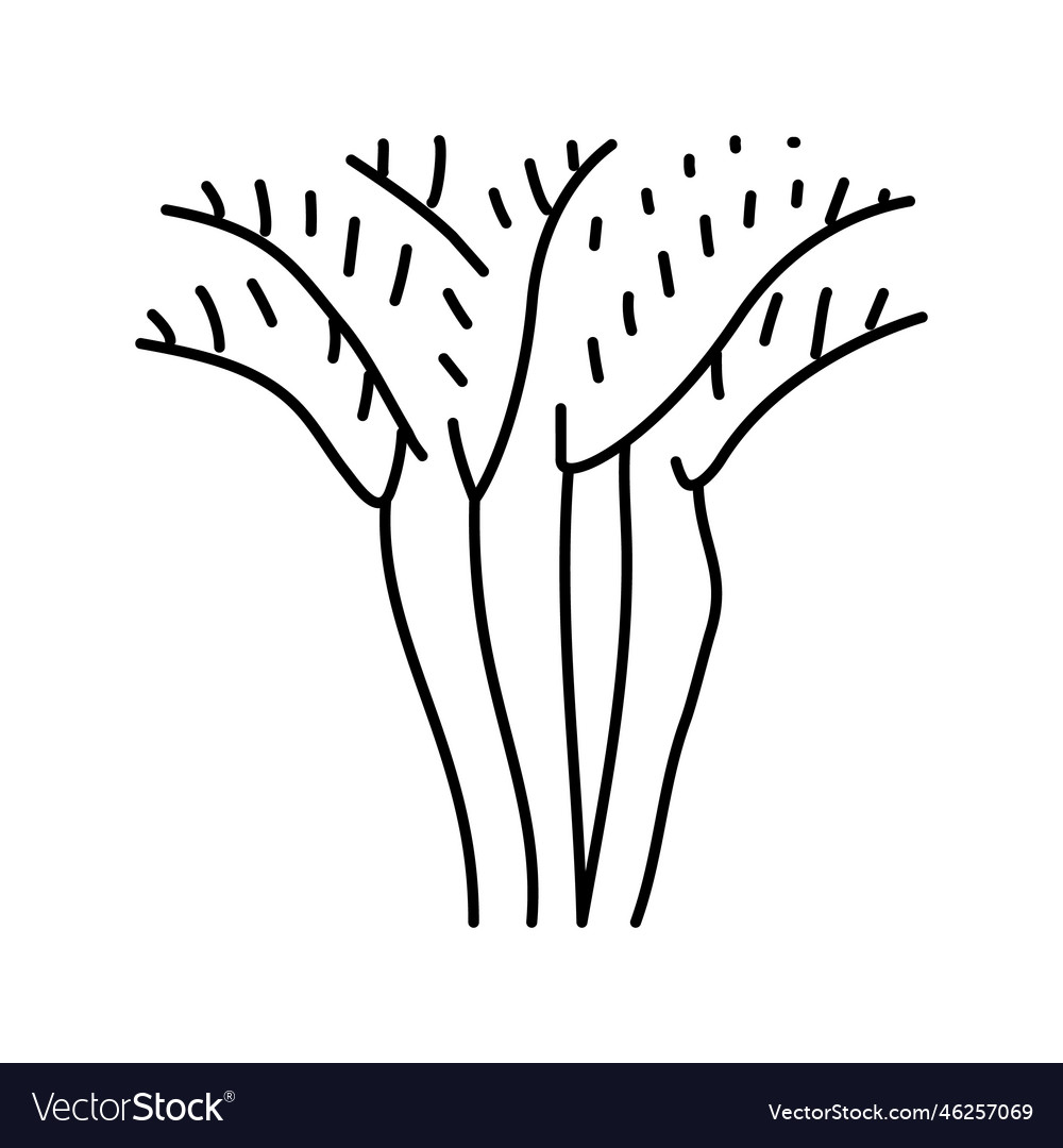 Areca palm tree line icon Royalty Free Vector Image Areca palm tree line icon Royalty Free Vector Image