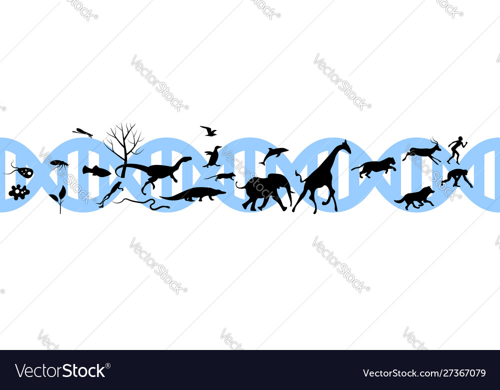 Evolution Royalty Free Vector Image - VectorStock