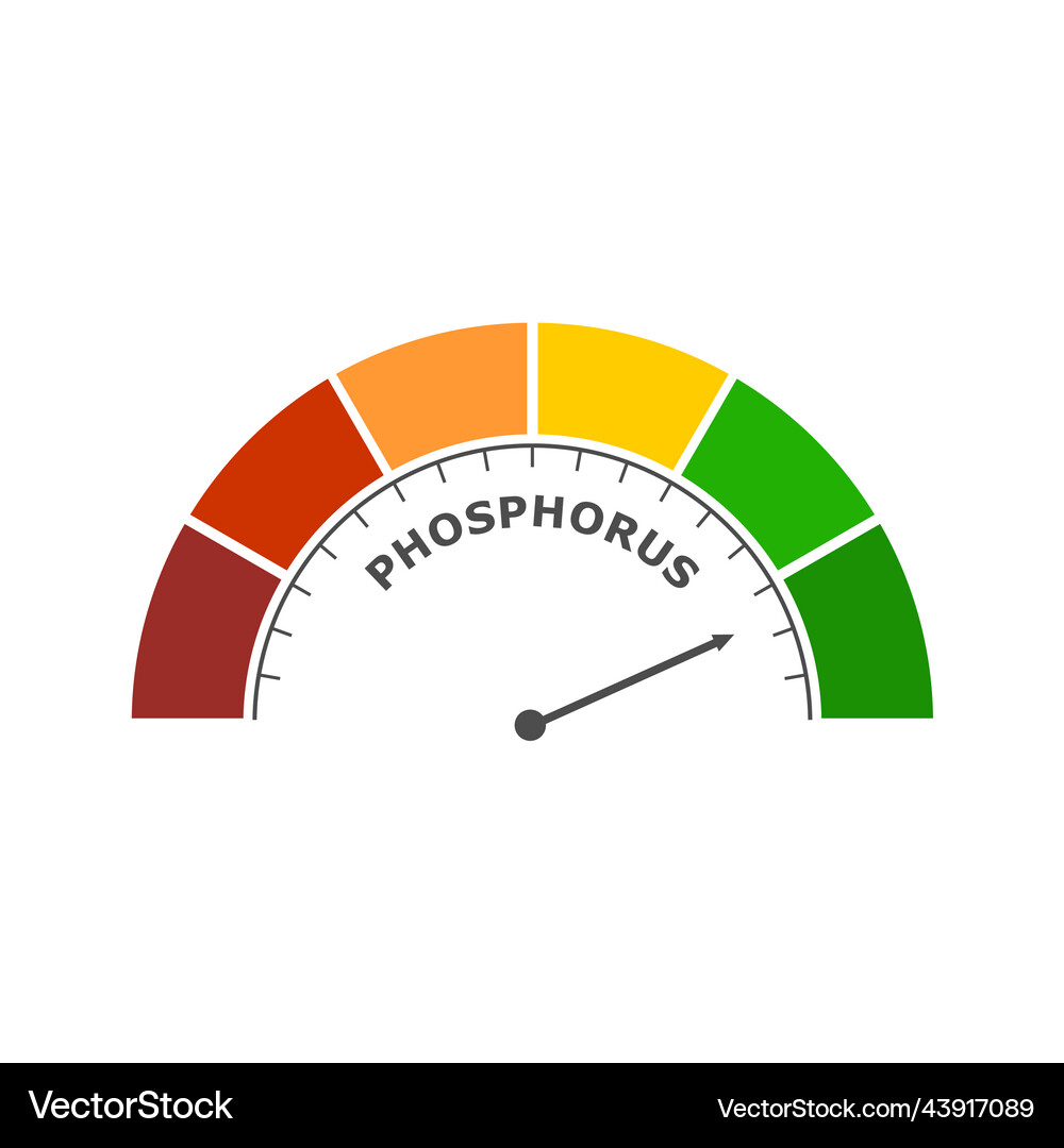 Phosphorus level abstract scale food value Vector Image