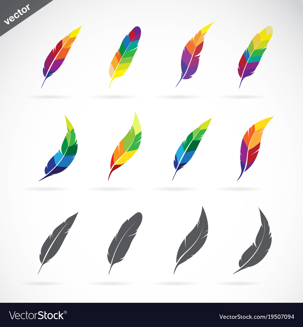 Group of feathers icon design on white background Vector Image