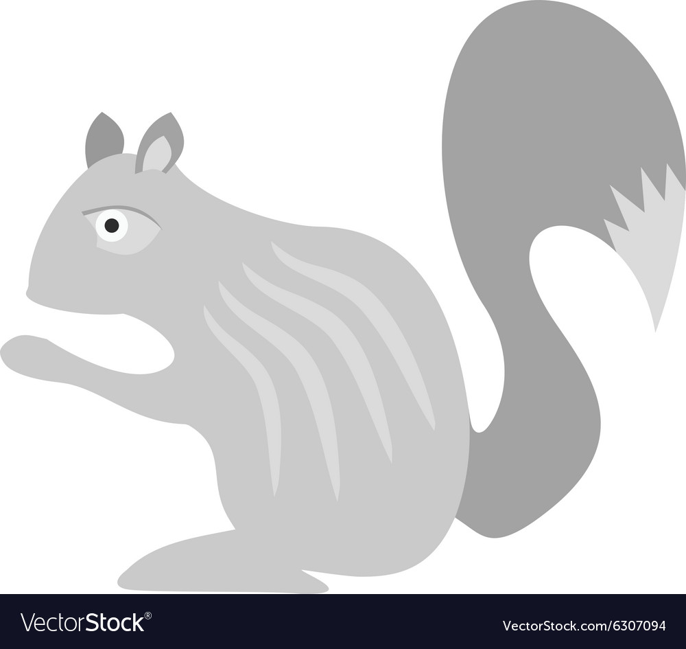 Squirrel Royalty Free Vector Image - VectorStock