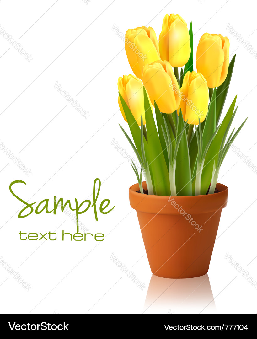 Fresh spring yellow flowers Royalty Free Vector Image