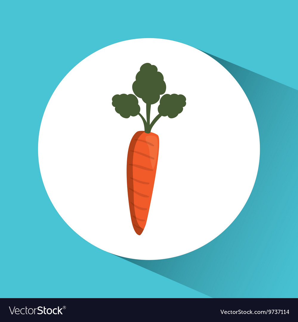 Carrot icon nutrition and organic food design Vector Image