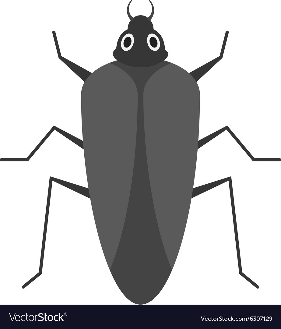 Cockroach Royalty Free Vector Image - VectorStock