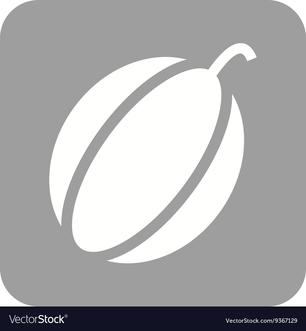 Rockmelon Royalty Free Vector Image - VectorStock