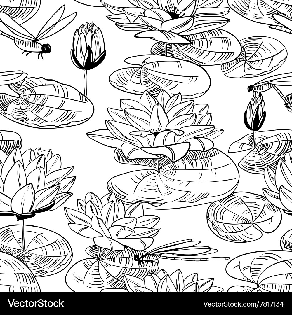 Water lily and dragonfly Royalty Free Vector Image