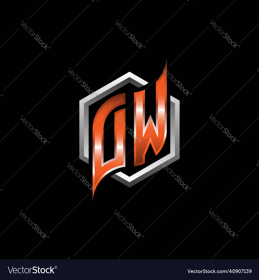 Dw monogram geometric orange with hexagonal Vector Image