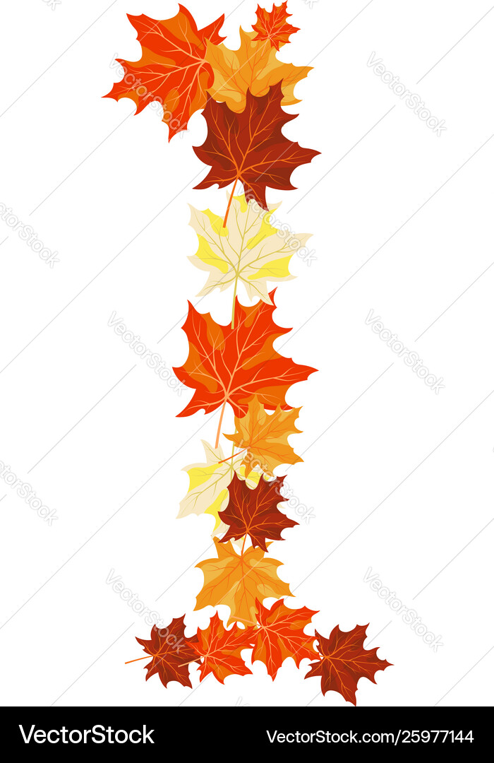Autumn maples leaves letter Royalty Free Vector Image