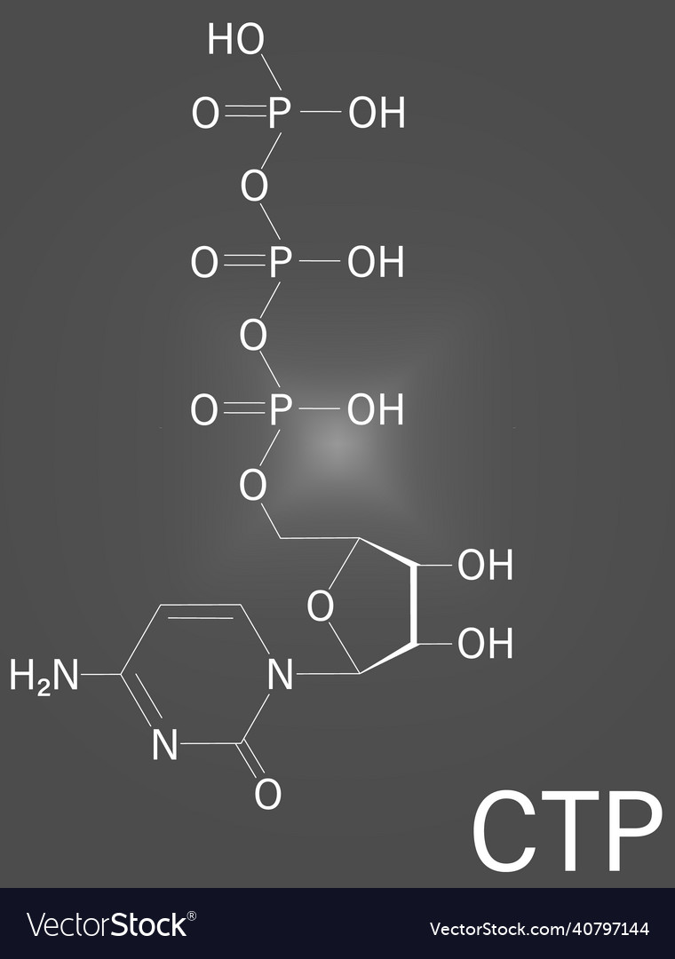 Cytidine Triphosphate Or Ctp Molecule Formula Vector Image