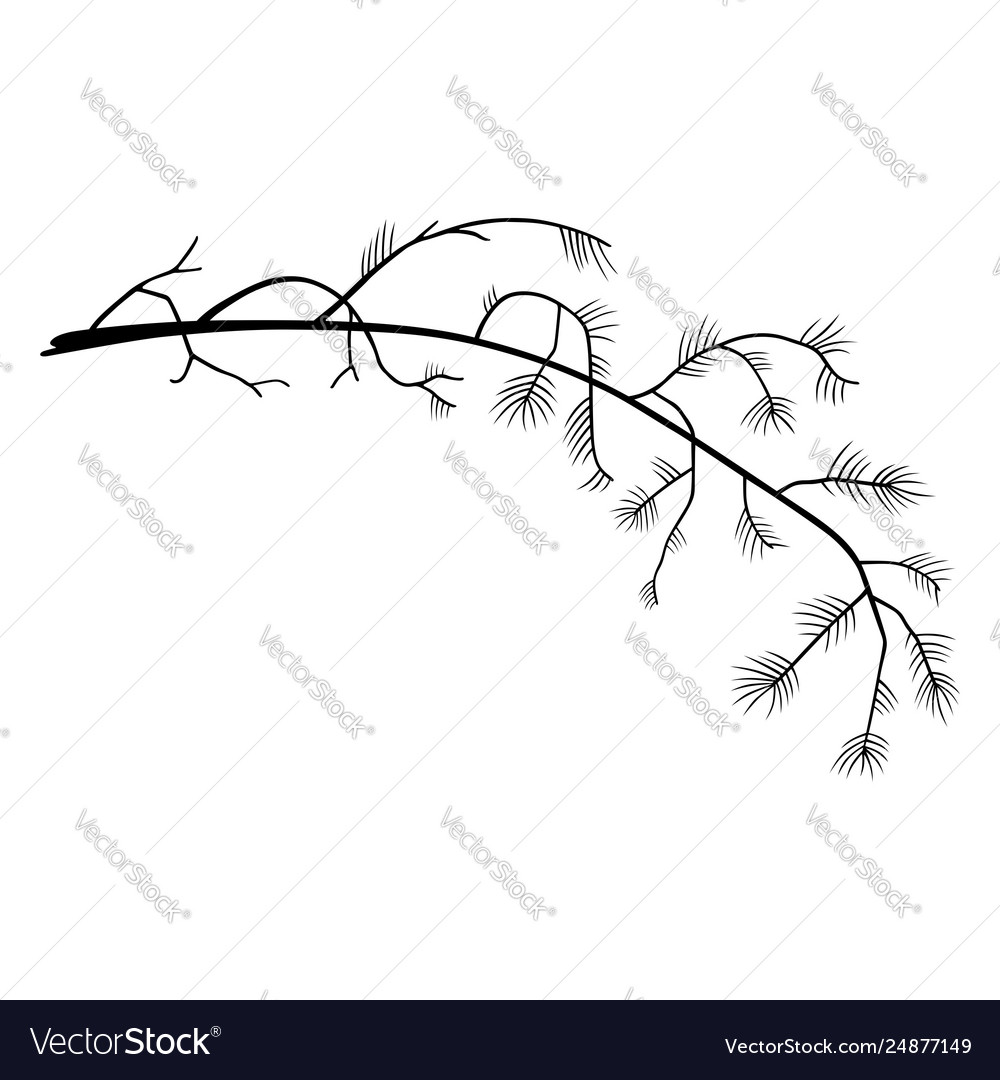 Branch Royalty Free Vector Image - VectorStock