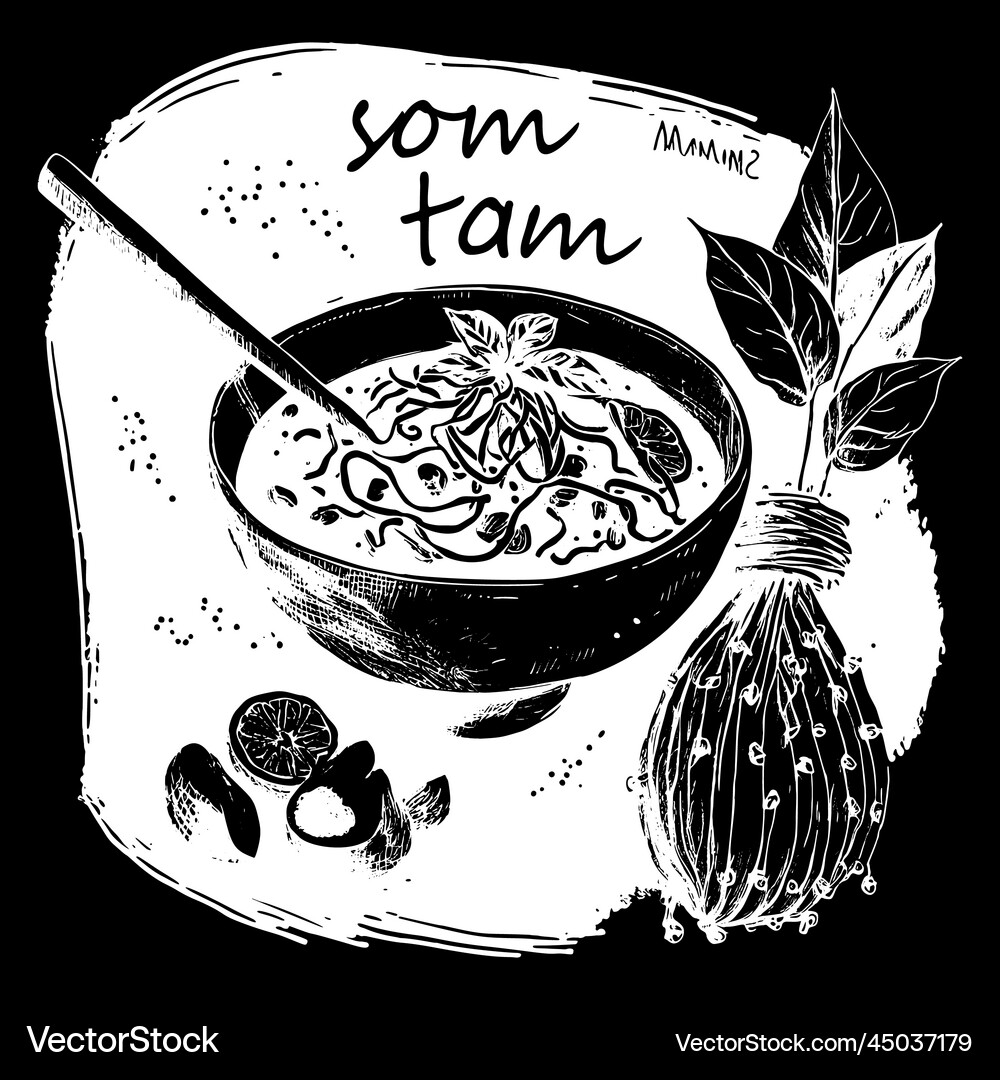 Hand drawn som tam sketch style Royalty Free Vector Image