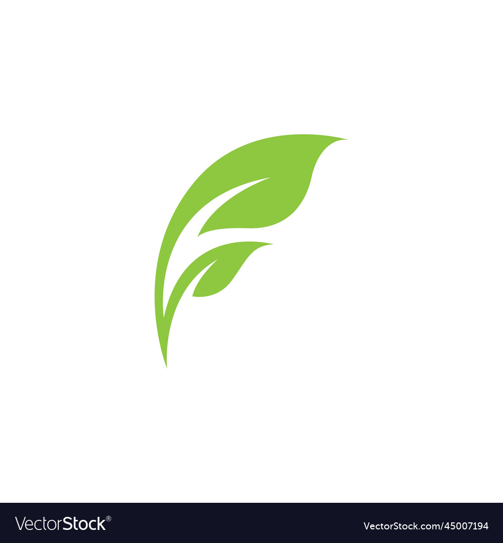 Eco Icon Green Leaf Template Royalty Free Vector Image