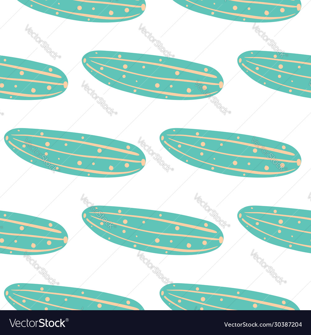 Cucumber seamless pattern on white background Vector Image