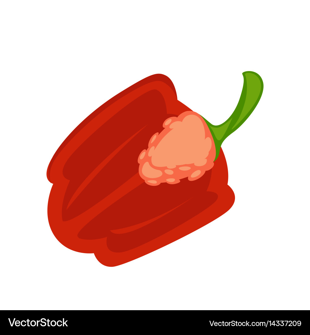 Half of red pepper Royalty Free Vector Image - VectorStock
