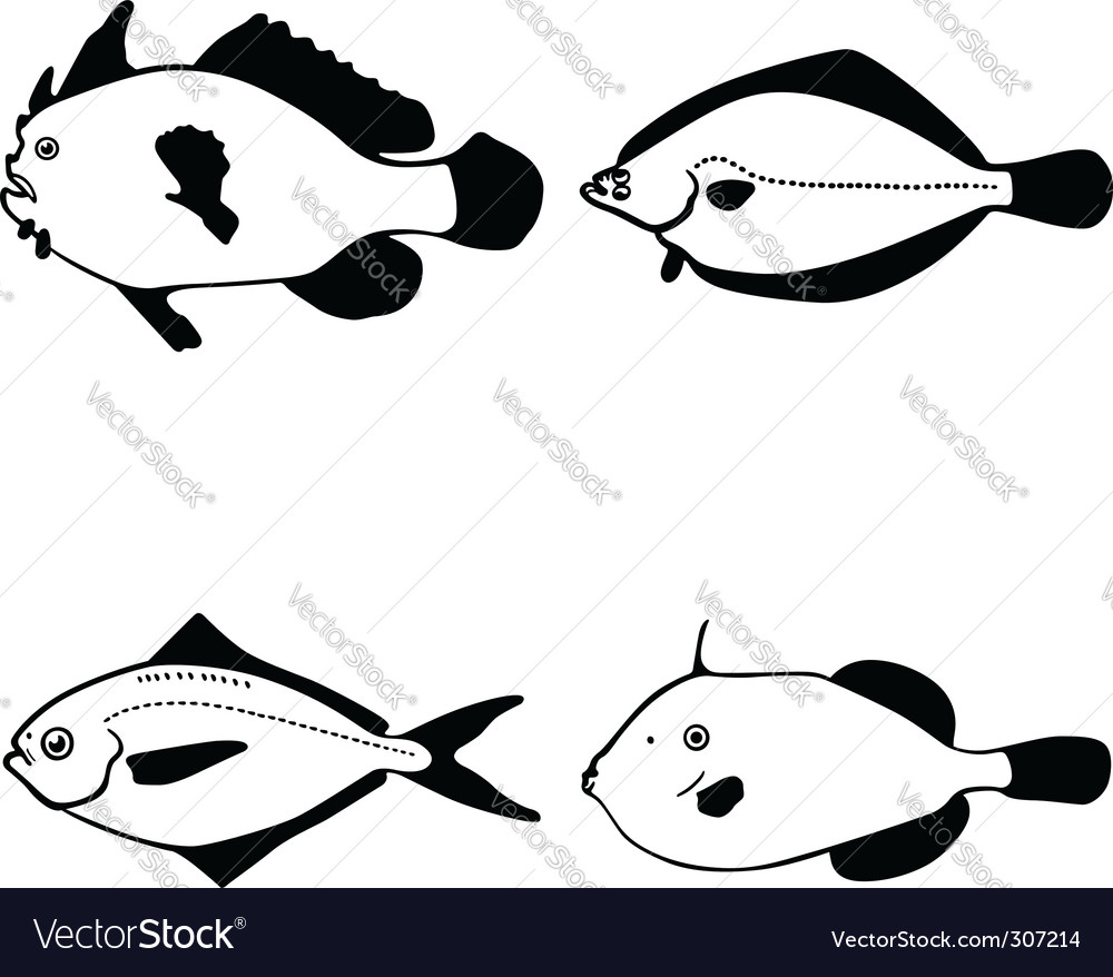 Fish Royalty Free Vector Image - VectorStock