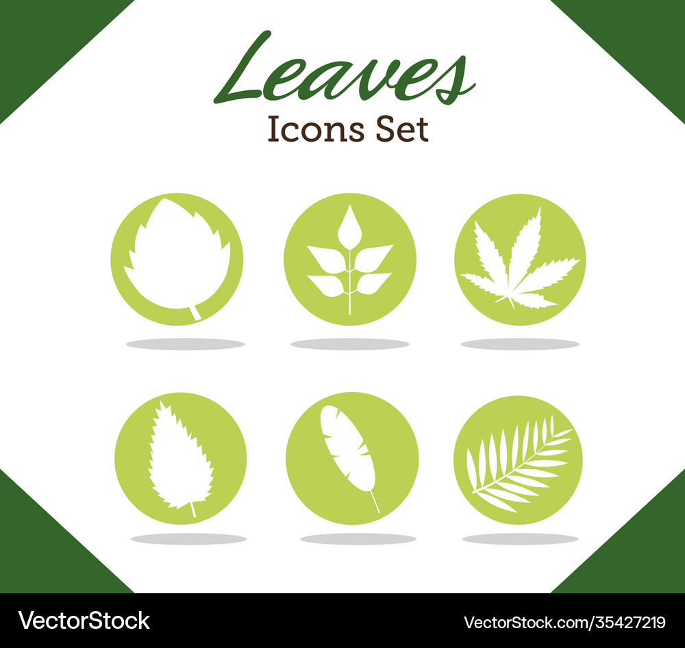 Bundle six leafs plants and lettering Royalty Free Vector