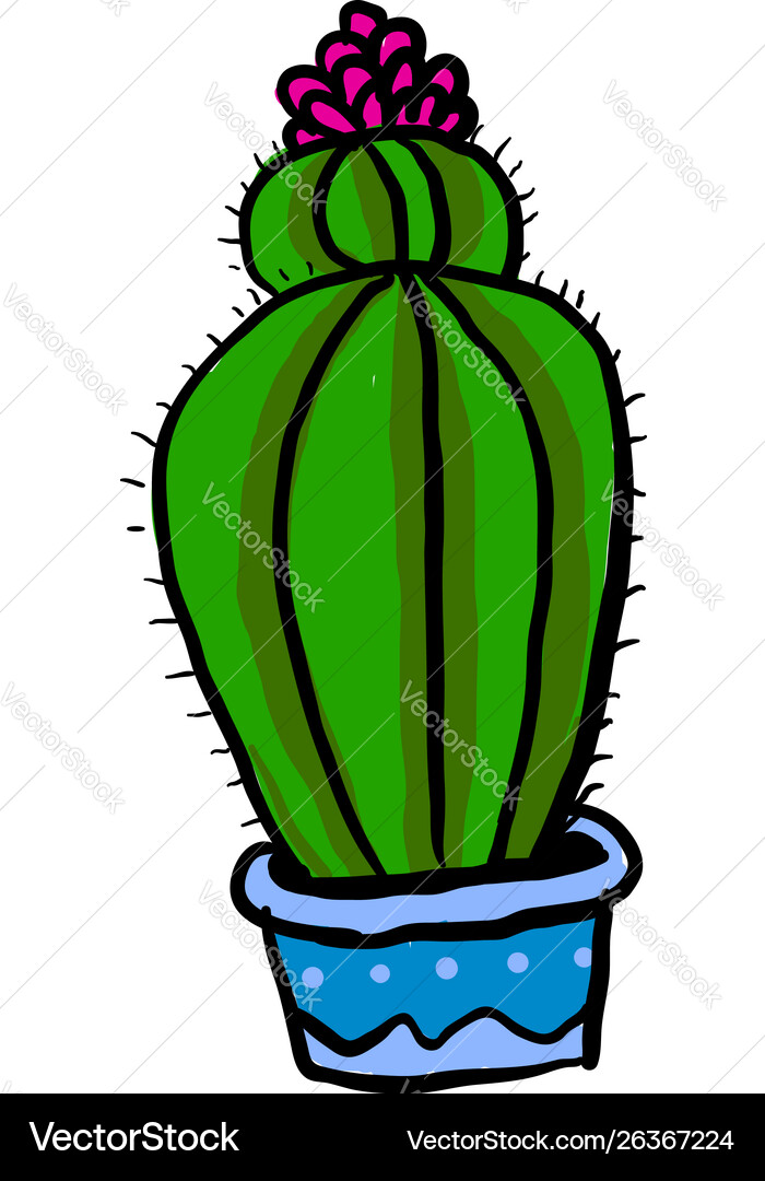 Cactus with red flower in pot on white background Vector Image