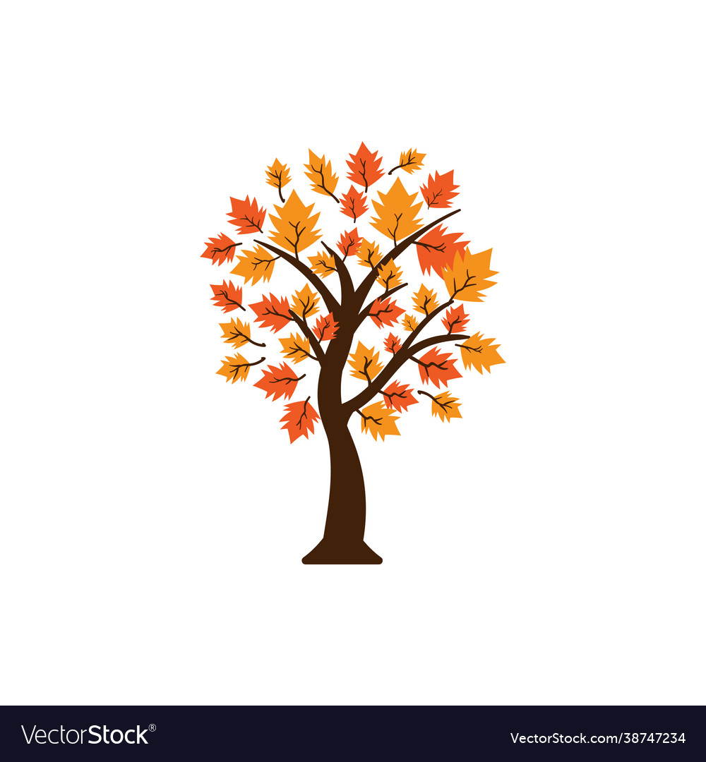 Autumn tree icon design template isolated Vector Image