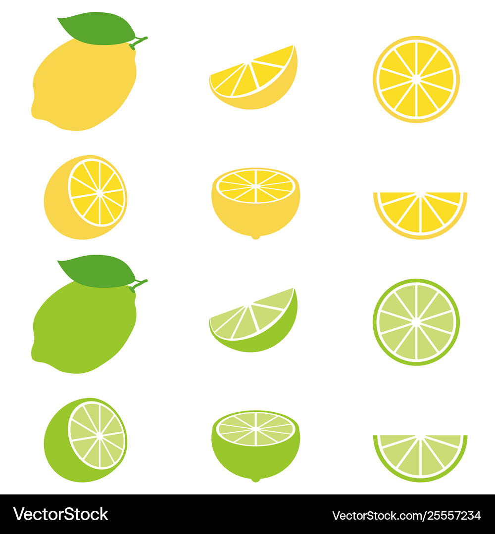 Citrus Fruit Slice - Lemon & Lime Royalty Free Vector
