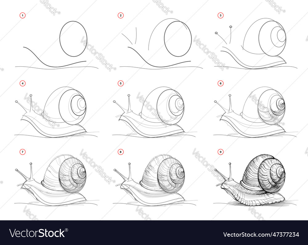 Page shows how to learn to draw from life sketch Vector Image