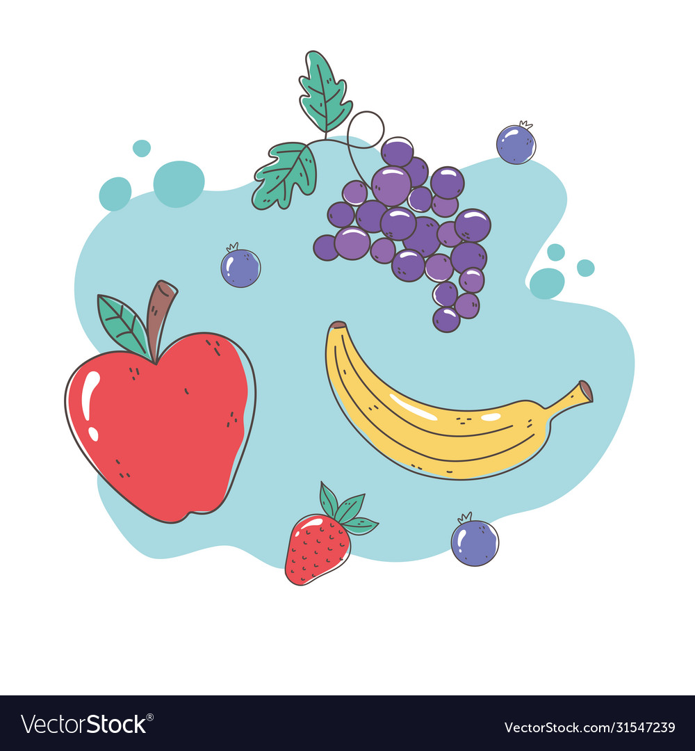 Healthy food nutrition diet fresh fruits apple Vector Image
