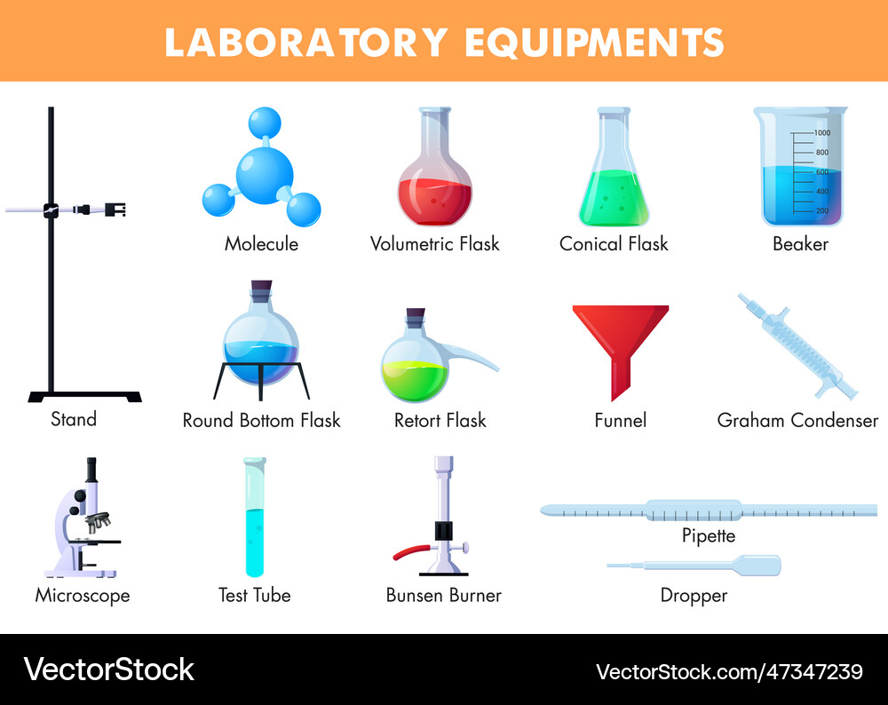 Laboratory instruments with microscope flasks Vector Image