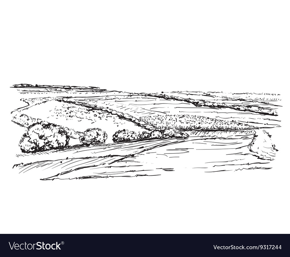 Landscape with fields Royalty Free Vector Image