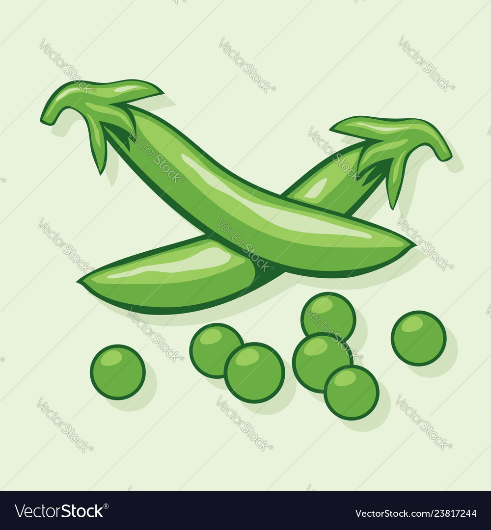 Pods green peas Royalty Free Vector Image - VectorStock