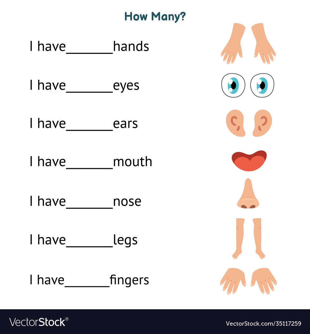 How Many Worksheet With Body Parts For Kids Write Vector Image