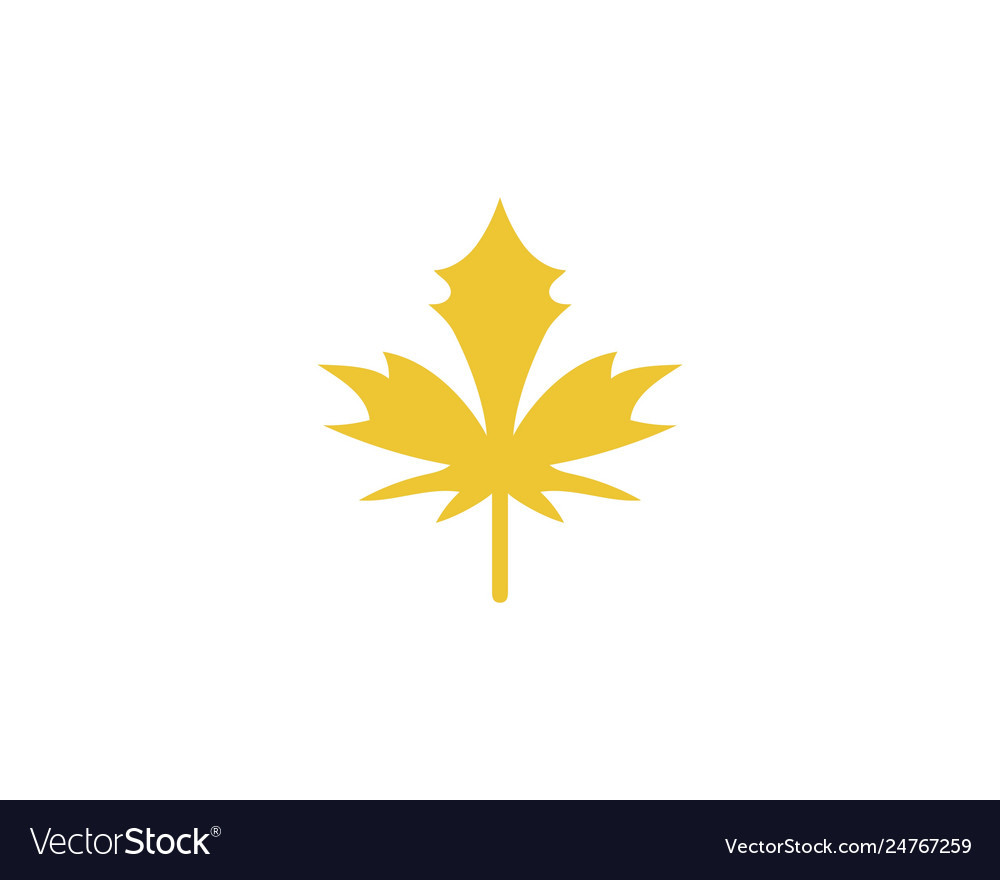 Maple leaf Royalty Free Vector Image - VectorStock
