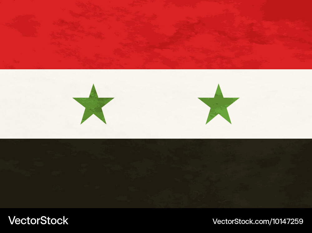 True proportions syria flag with texture Vector Image