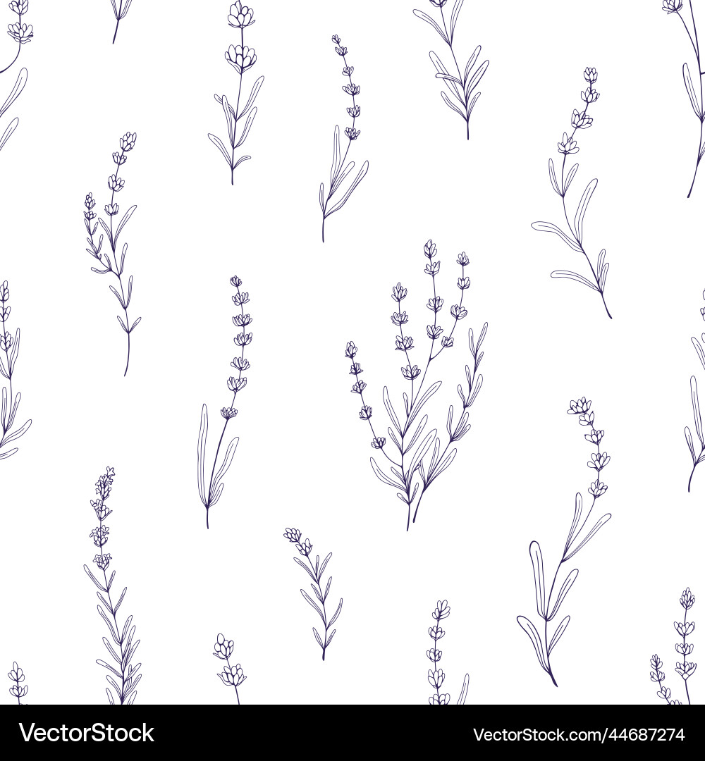 Lavender pattern seamless floral background Vector Image