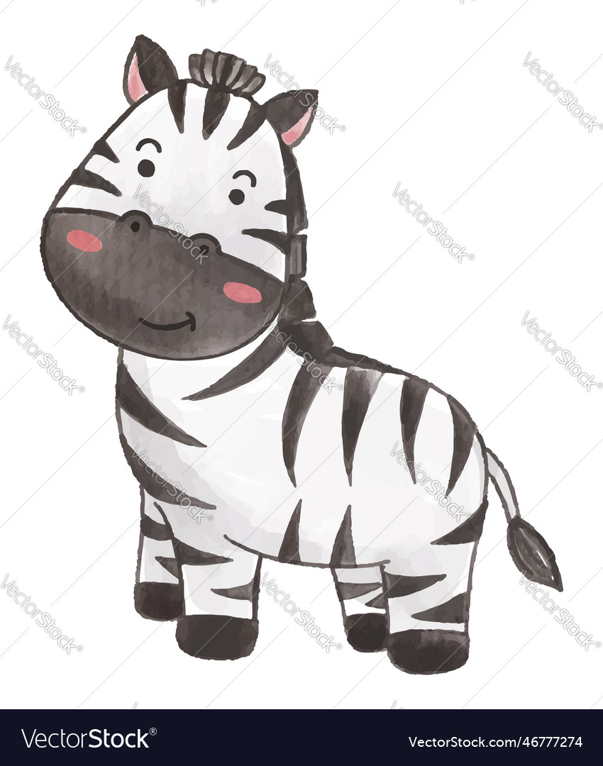 Zebra watercolor paint design cute animal Vector Image