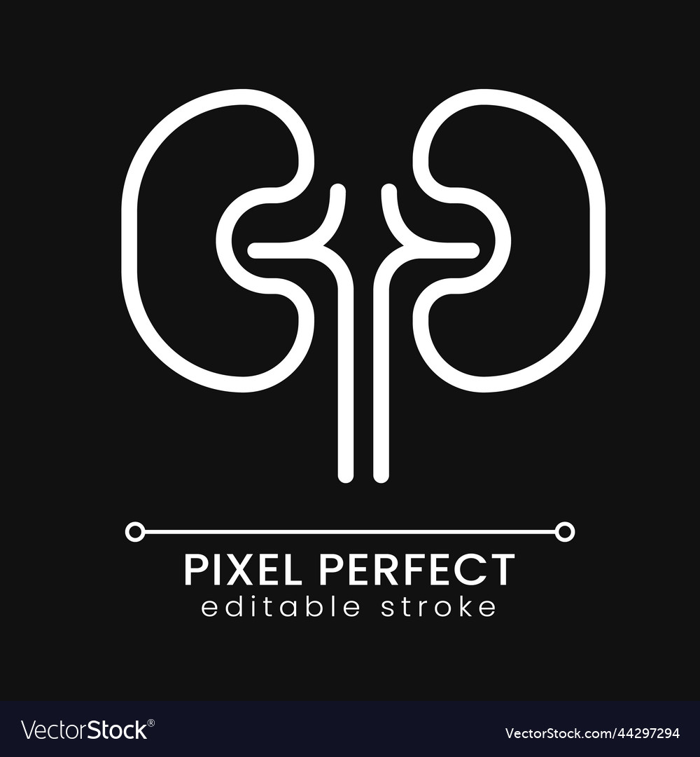 Kidneys pixel perfect white linear icon for dark Vector Image Kidneys pixel perfect white linear icon for dark Vector Image