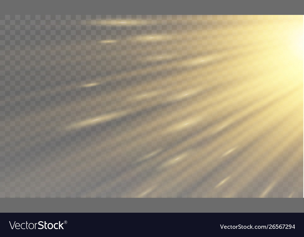 Transparent sunlight Royalty Free Vector Image