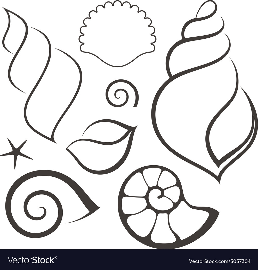 Shell set Royalty Free Vector Image - VectorStock